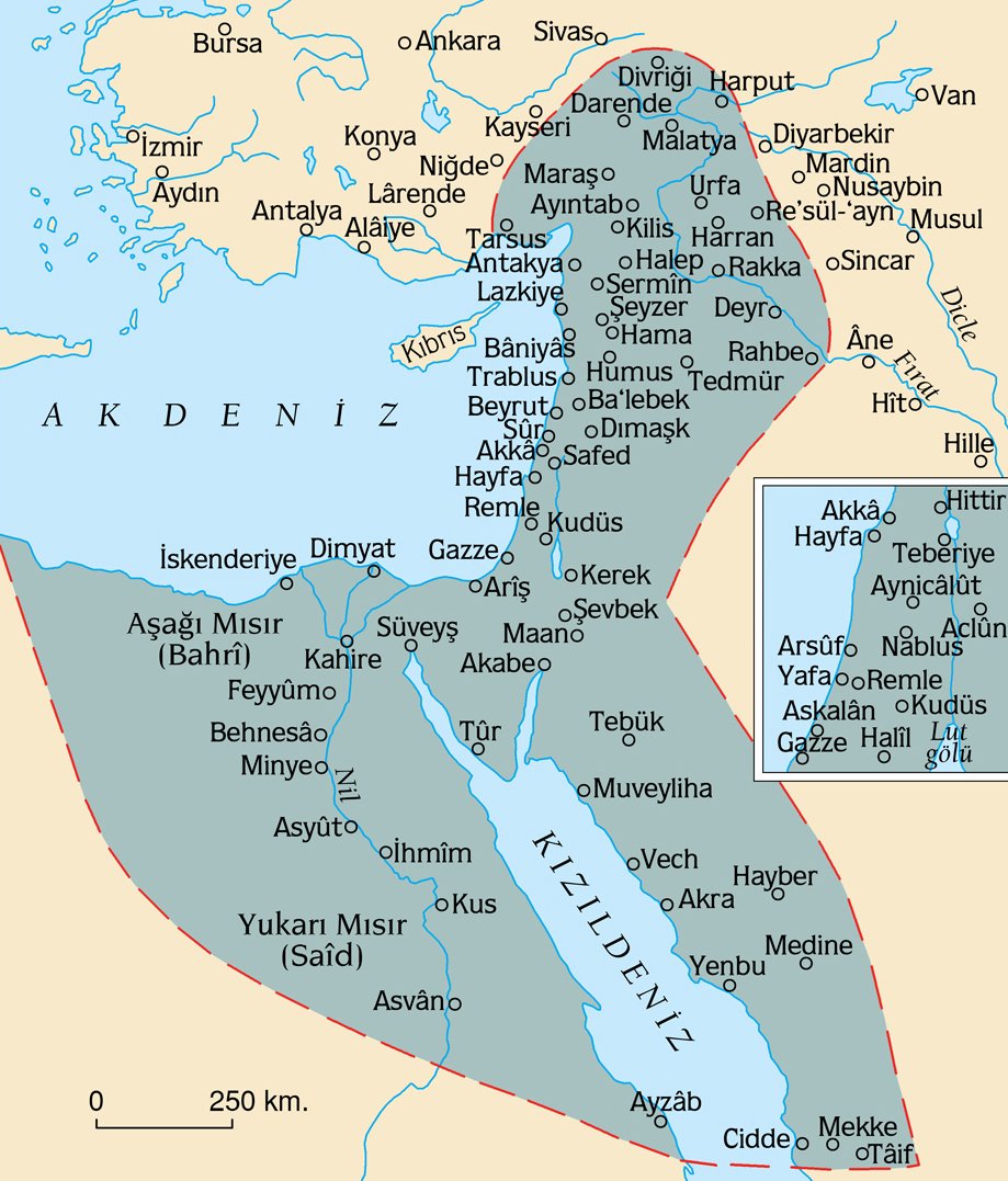 Çöl Panteri Sultan Baybars » Sümbül Sokak